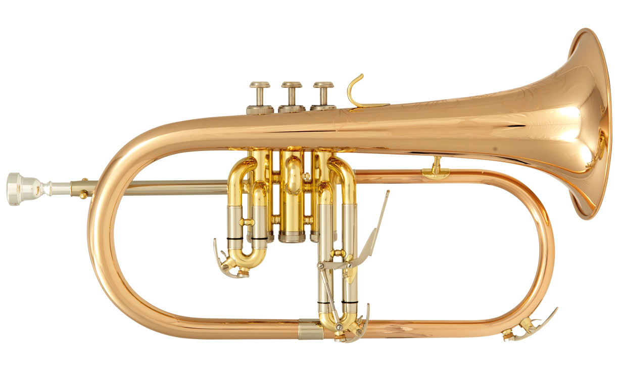 Fliscorno de estudio Sml BU600